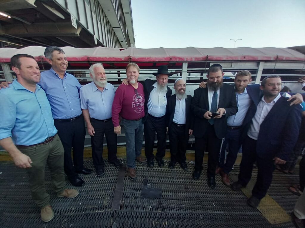 Vacas alazanas llegan a Israel con todos los honores - Enguardia